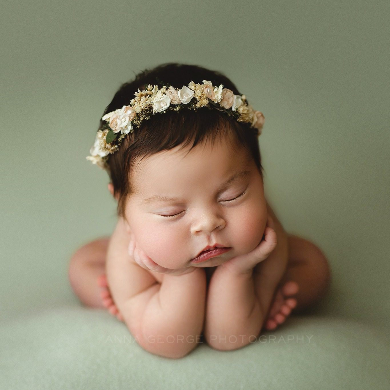 Anna George Photography – Newborn & Maternity Photographer in Madison ...